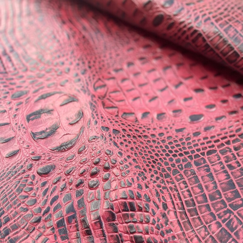 Alligator Embossed - Etsy