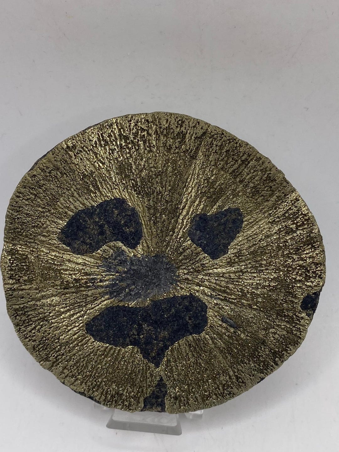 Pyrite Sun Disc! See Video! - Etsy