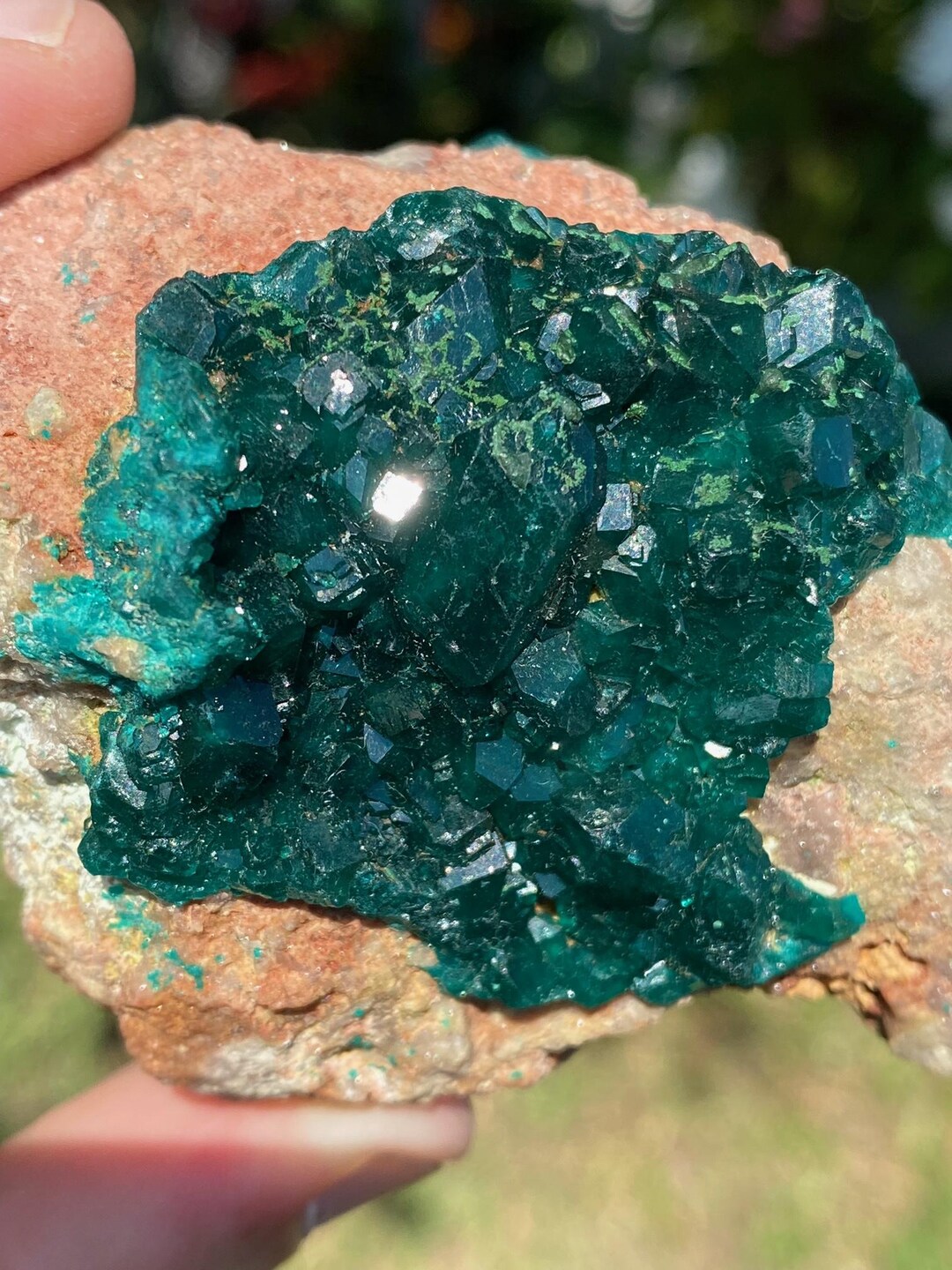 Luxurious Double Sided! Dioptase Crystal Cluster - Etsy