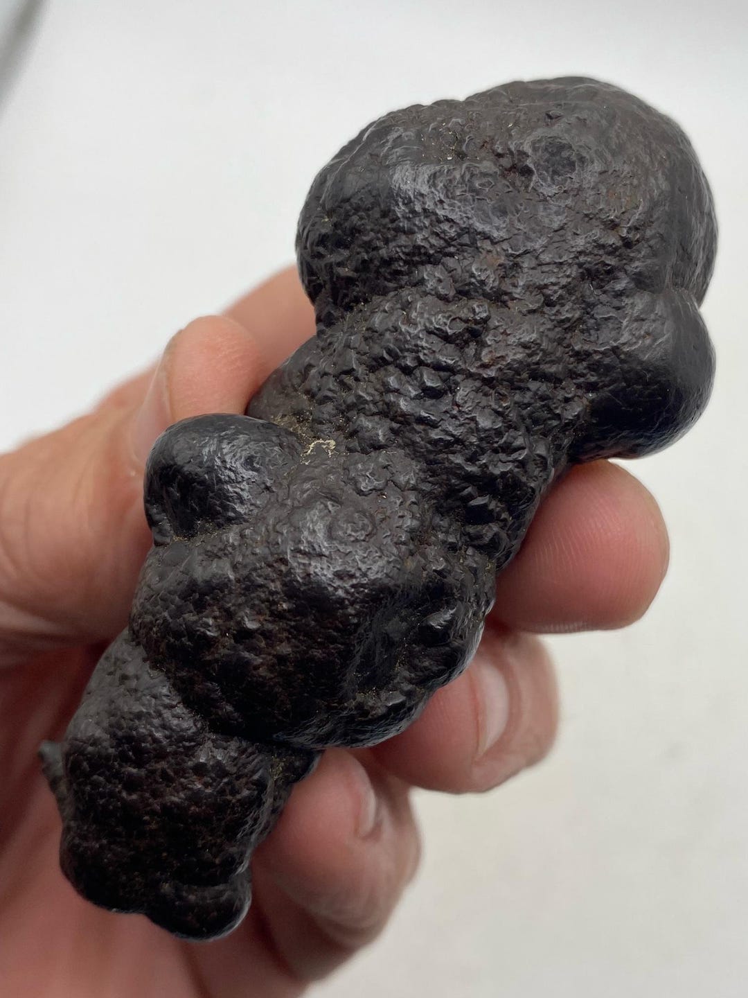 Prophecy Stone Pseudomorph: Limonite and Hematite After Pyrite and ...