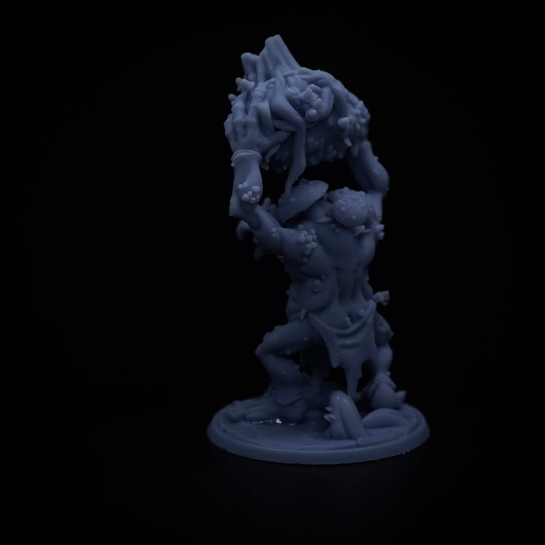 Fungus Swamp Troll Dnd Miniature, Tabletop RPG Mini, D&D Figurines - Etsy