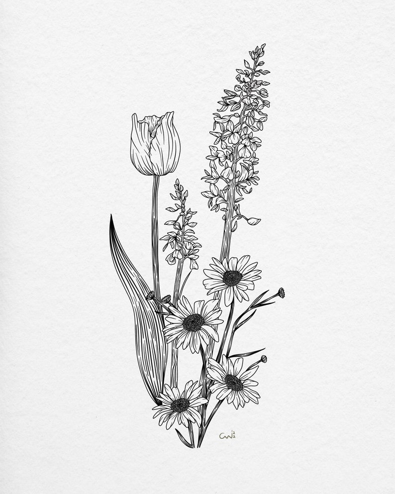 Botanical Art Print: Pen and Ink Spring Flower Bouquet - Etsy