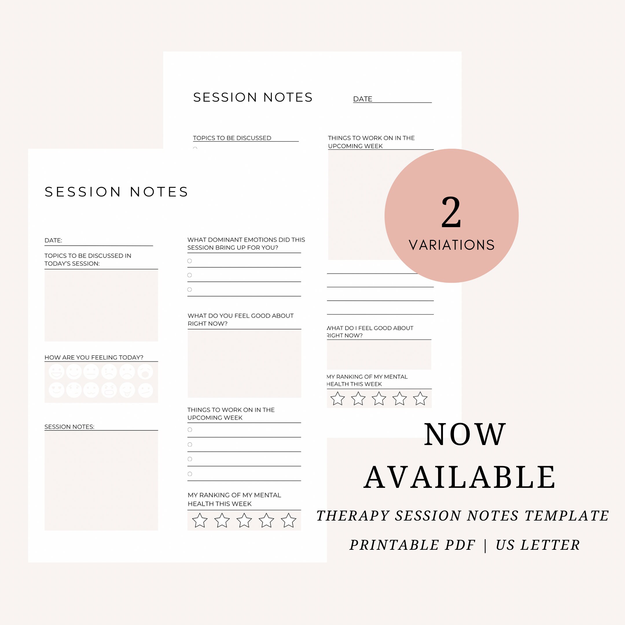 Therapy Session Notes Template Printable Therapy Session - Etsy Canada