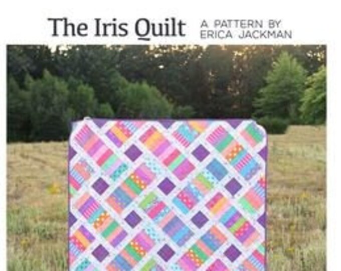 The Iris Quilt Pattern From Kitchen Table Quilting - Etsy
