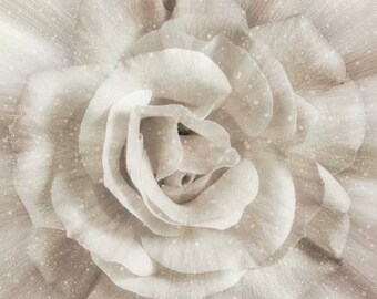 Atlantic Hoffman Dream Big Fabric Panel / Floral Quilt Panel by Hoffman ...