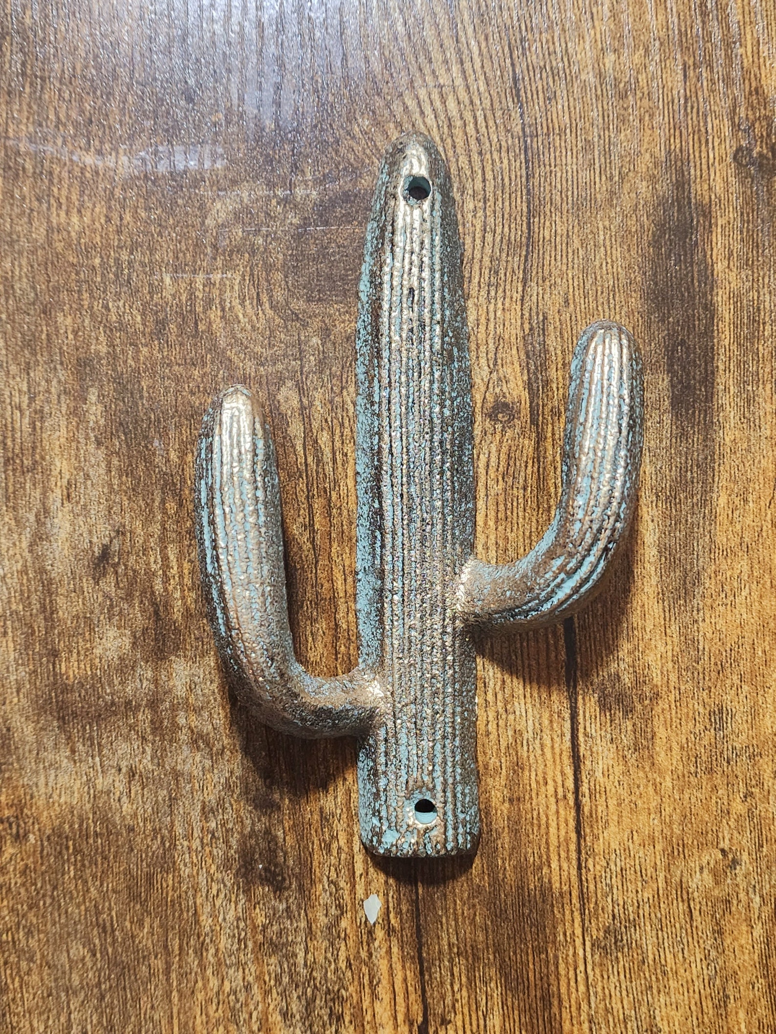 Vintage Cast Iron Cactus Wall Hook - Etsy