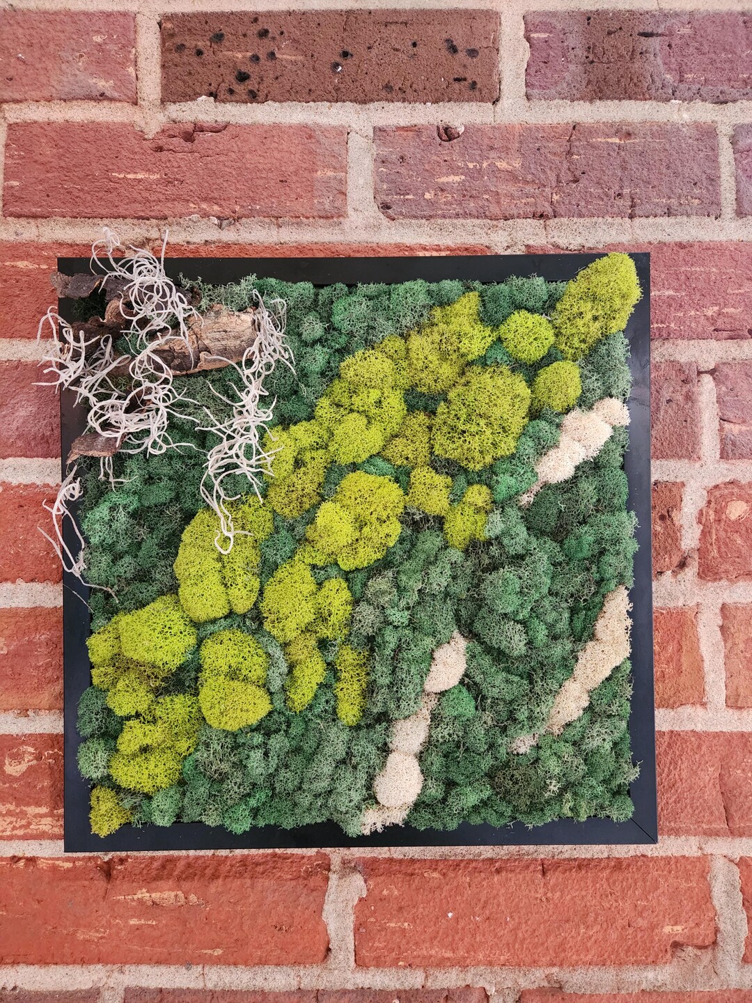 Preserved Moss Art marsh Lilly Pads 12x12 Frame - Etsy