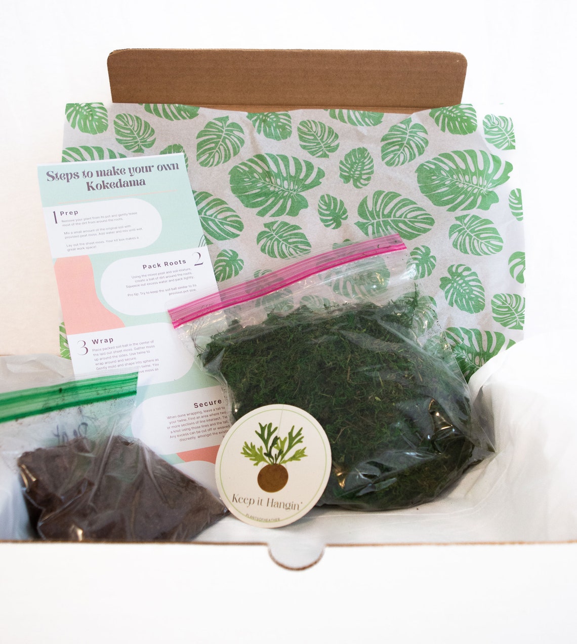 Make Your Own Kokedama Kit - Etsy