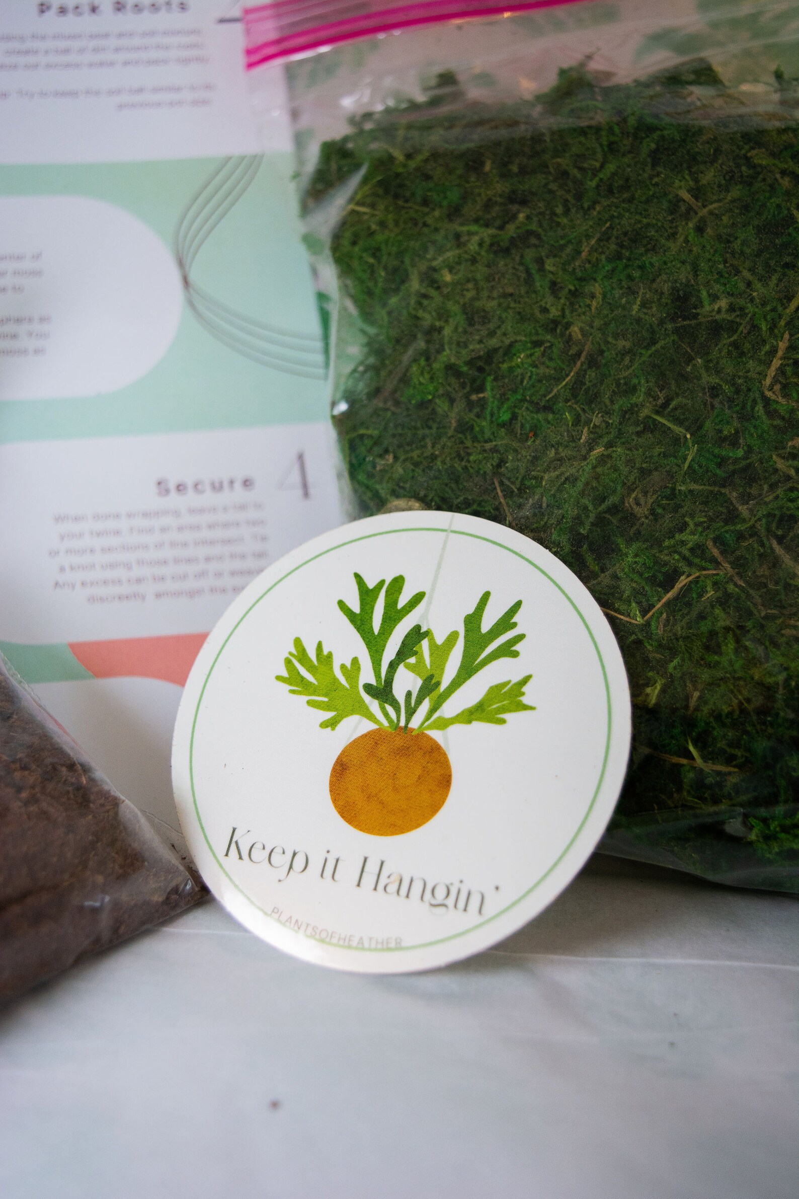 Make Your Own Kokedama Kit - Etsy