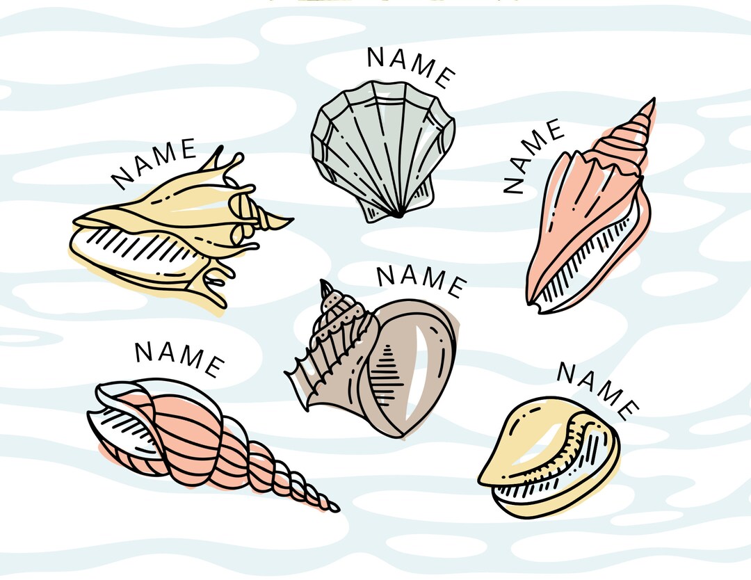 Seashell Family Frame Art 8.5 X 11 Unique Shell Hunting Hobby ...