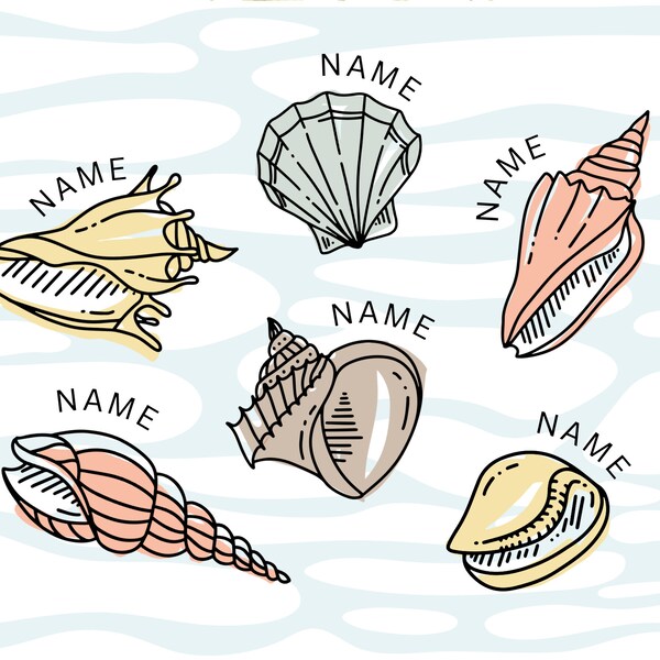 Seashell Family Art - Etsy