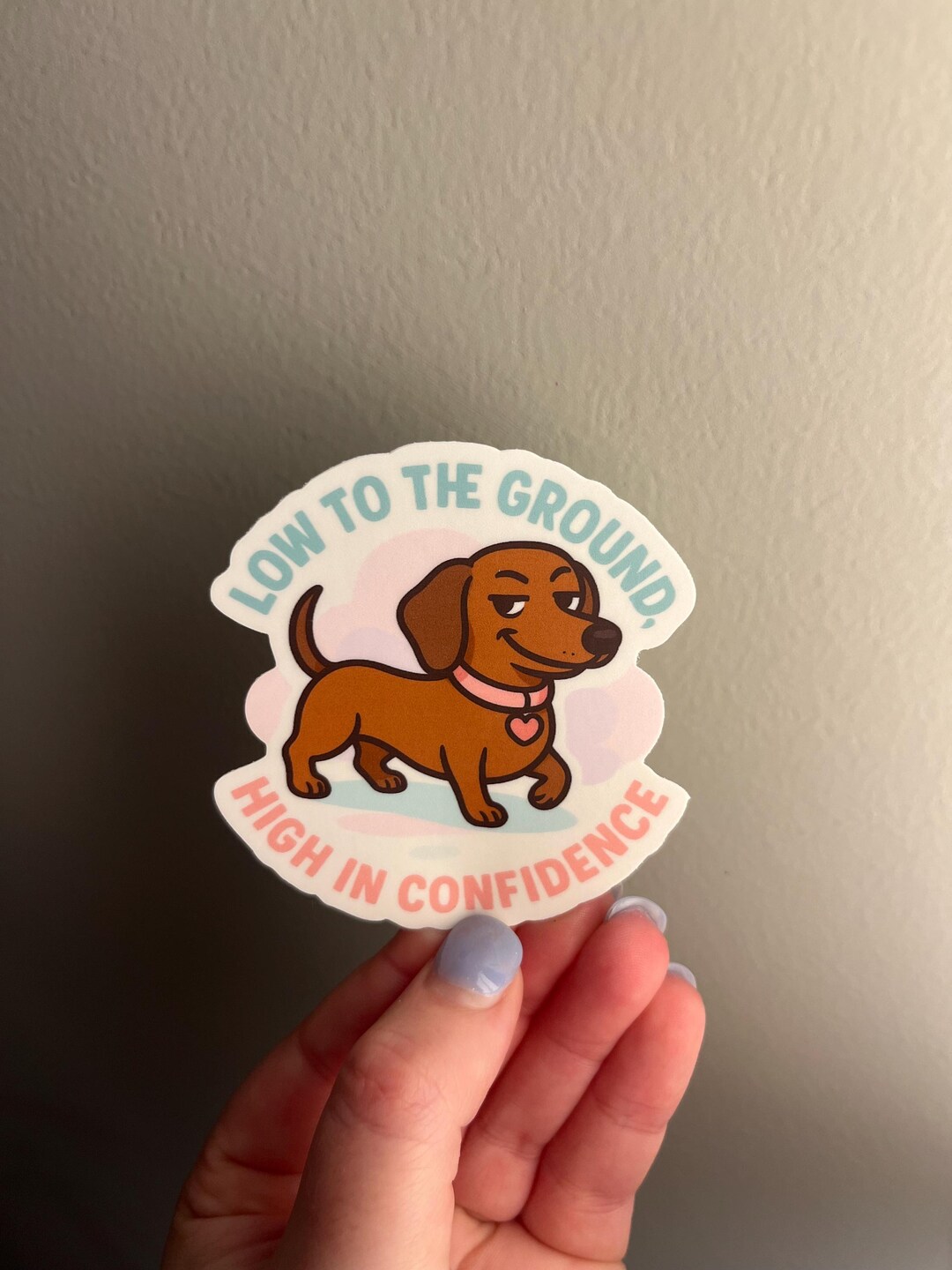 Low to the Ground, High in Confidence Dachshund Sticker | Cute Wiener ...