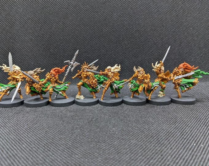 Set of 8 Female Elite Knights Painted Miniatures Reaper Mini Fantasy ...