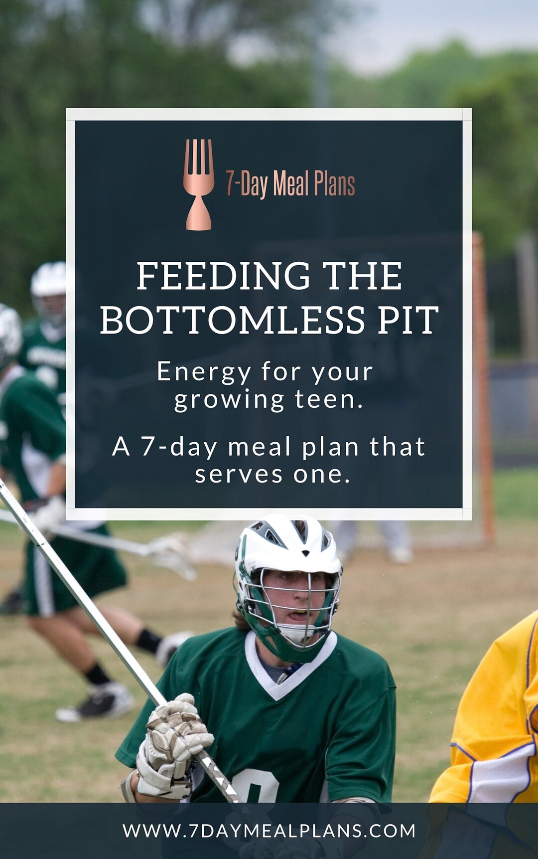 Feeding the Bottomless Pit: Energy for Your Growing Teen, Meals for ...