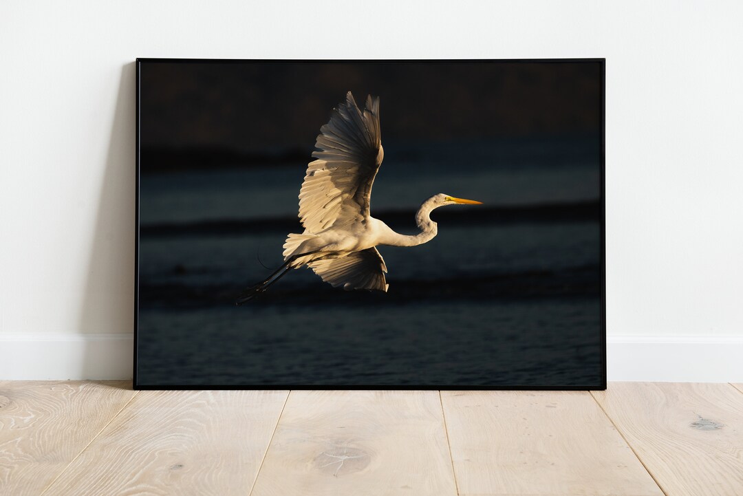 Flying Bird Digital Download - Etsy