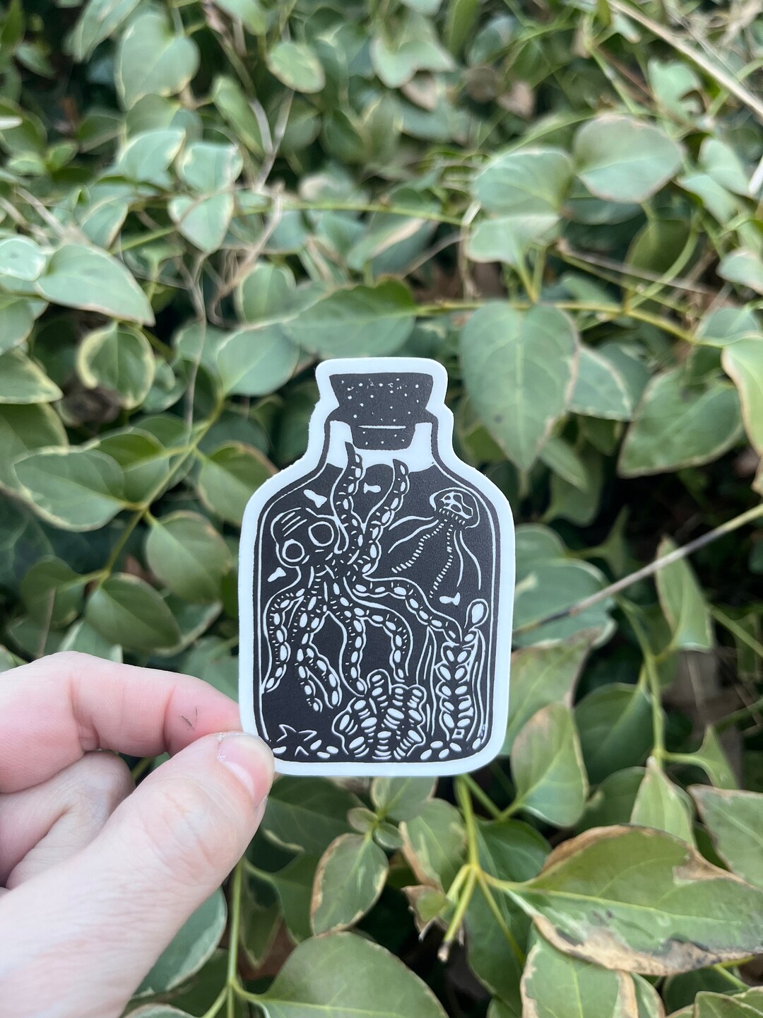Squid Ink- Octopus and Squid Sticker - Etsy