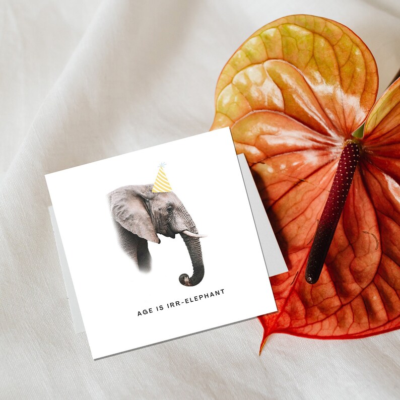 Elephant Birthday Card Punny Card Elephant Birthday Theme Happy ...