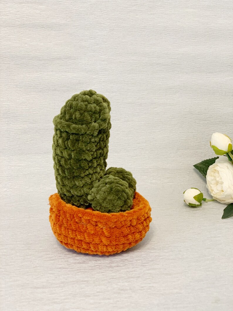 Crochet Pattern PDF for Beginners - Cactus & Gnome, Crochet Penis Fun ...