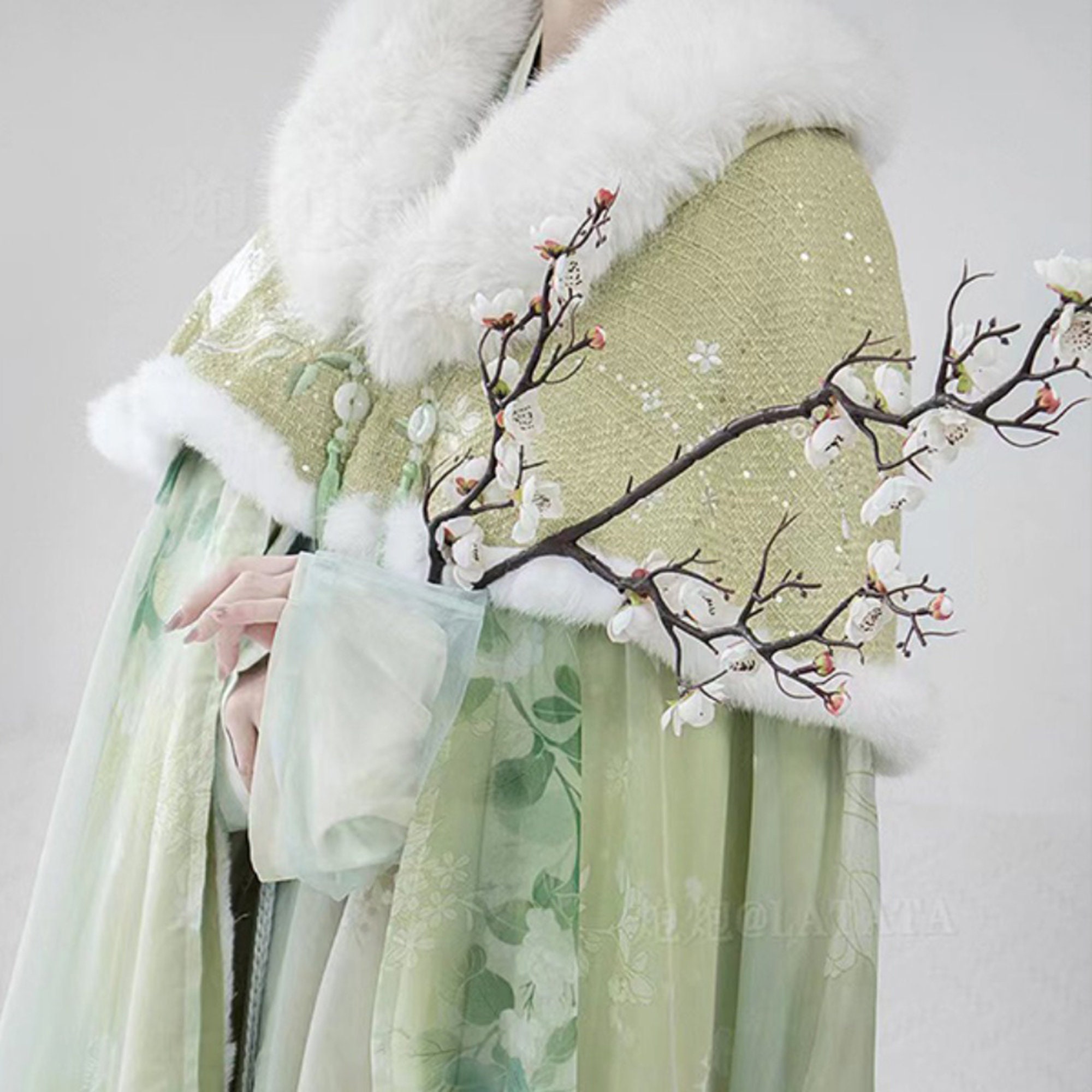 Hanfu Embroidered Cloak, Pear Velvet Cloak, Embroidered Green Cloak ...