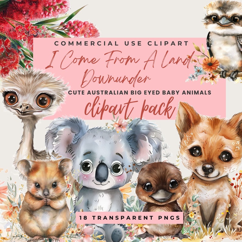 Cute Baby Australian Animals Nursery Clipart | Wall Decor | Commercial ...