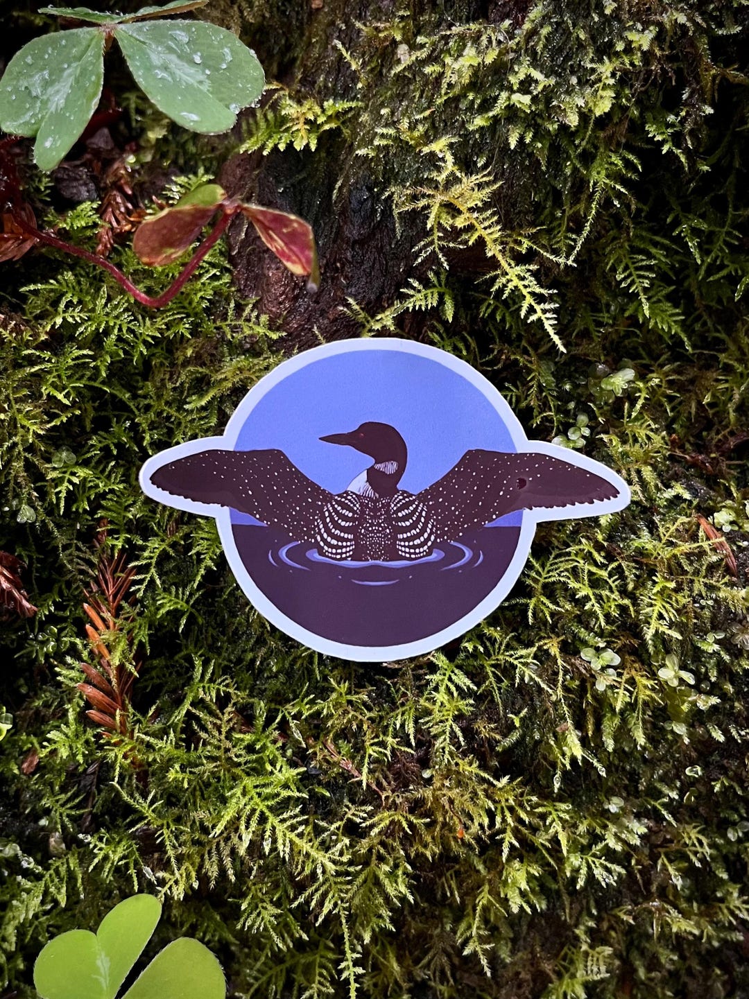 Common Loon | Waterproof Vinyl Sticker - Etsy