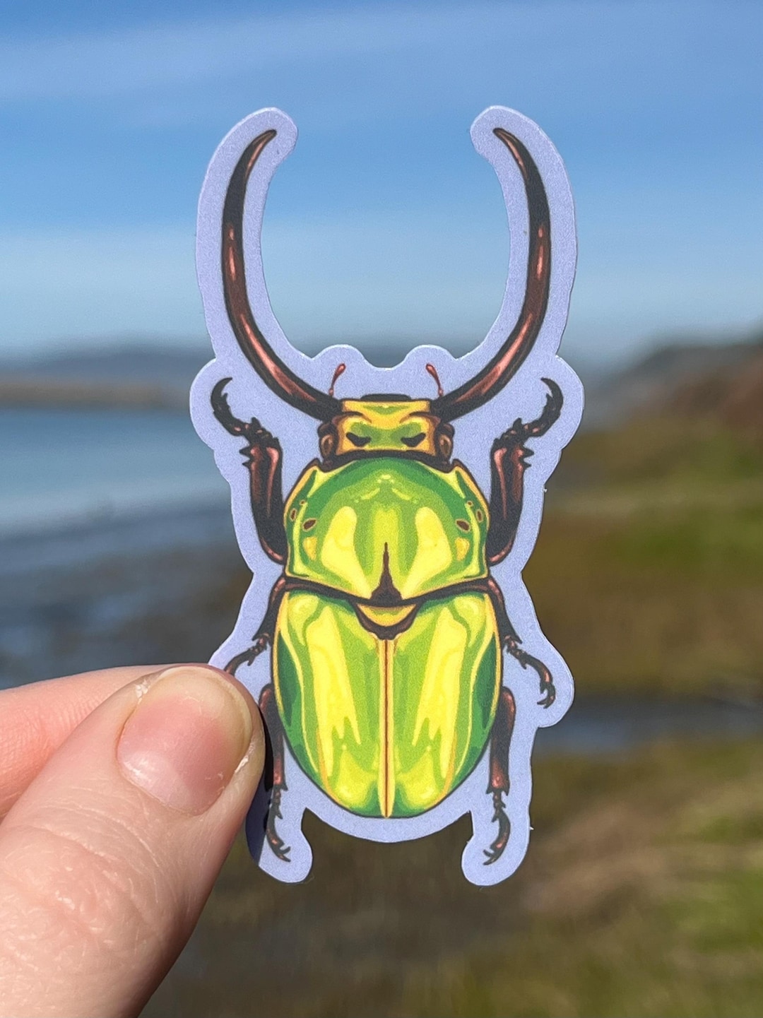 Horned Scarab Beetle | Waterproof Vinyl Sticker - Etsy
