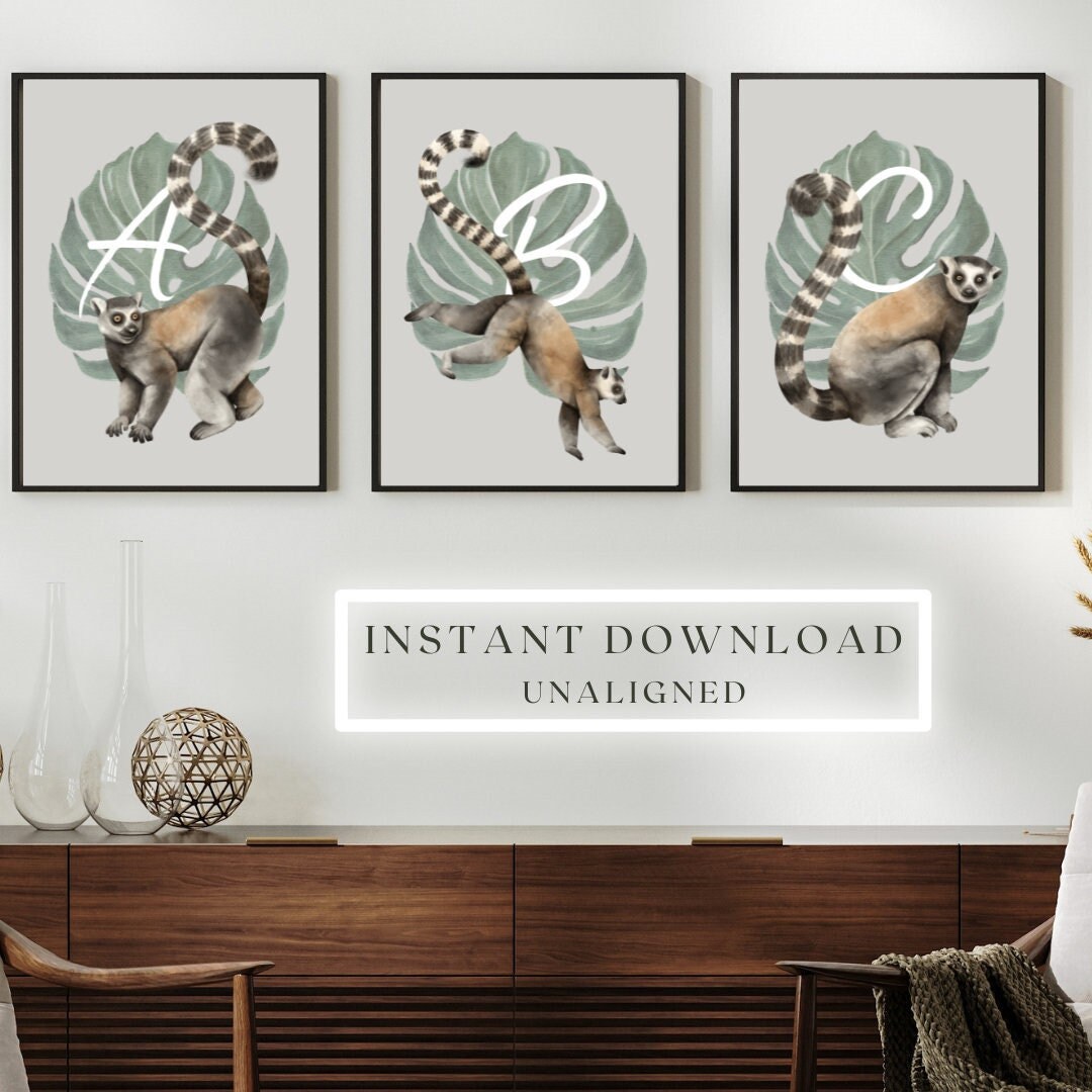 Lemur Family ABC Set of 3 Wall Art, Home Decor Posters, Lemur Posters ...