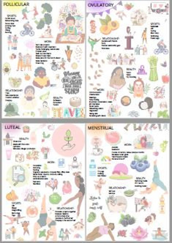 Menstrual Cycle Phases For Kids