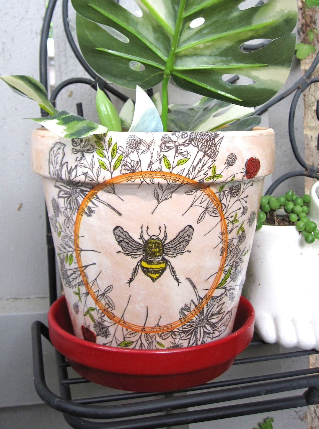 Beautiful Nostalgic Honey Bee Terracotta Planter With Cappuccino Swirl ...