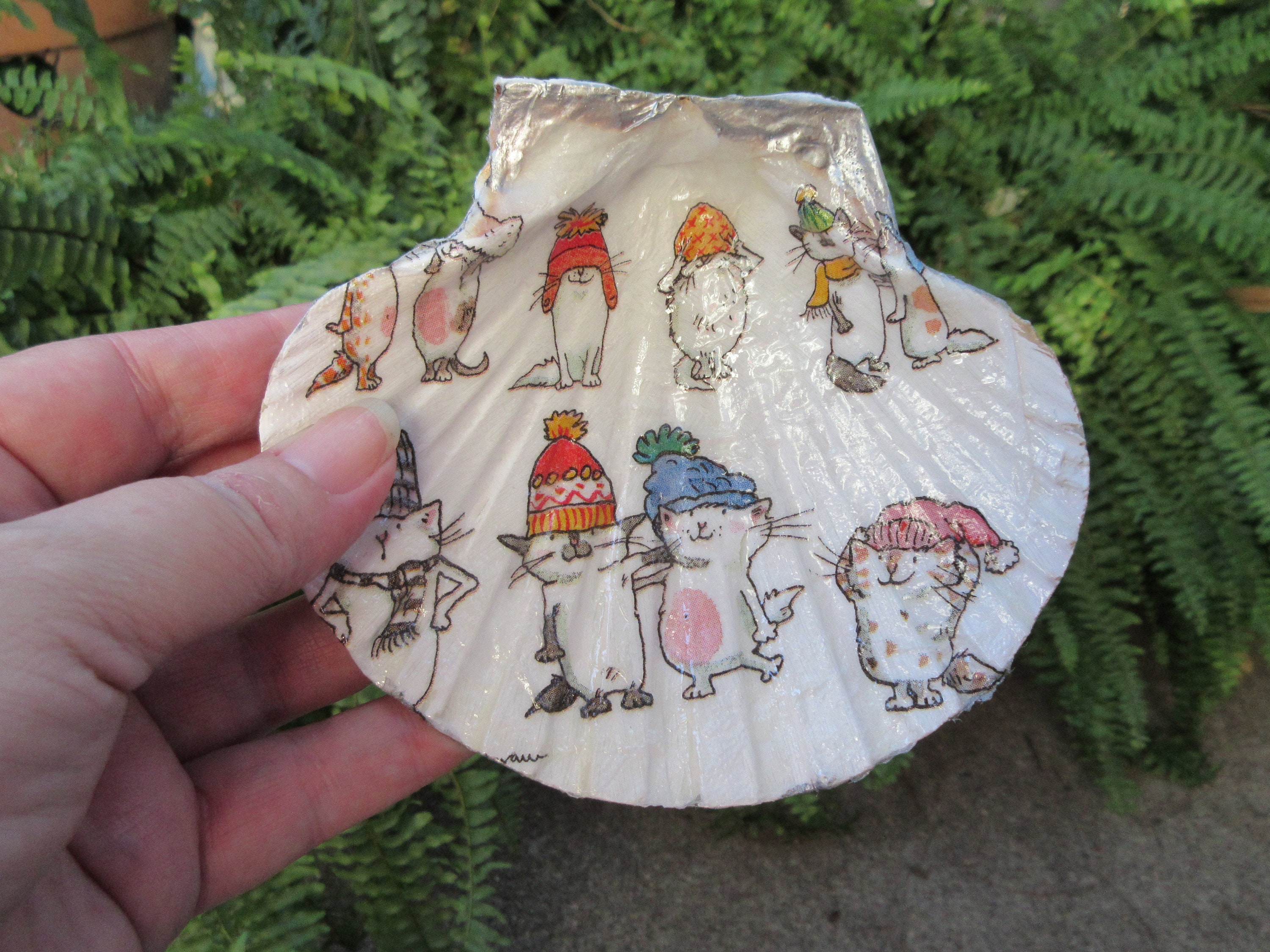 Cats With Hats in a Shell, Scallop Shell, Decoupage in Natural Sea ...