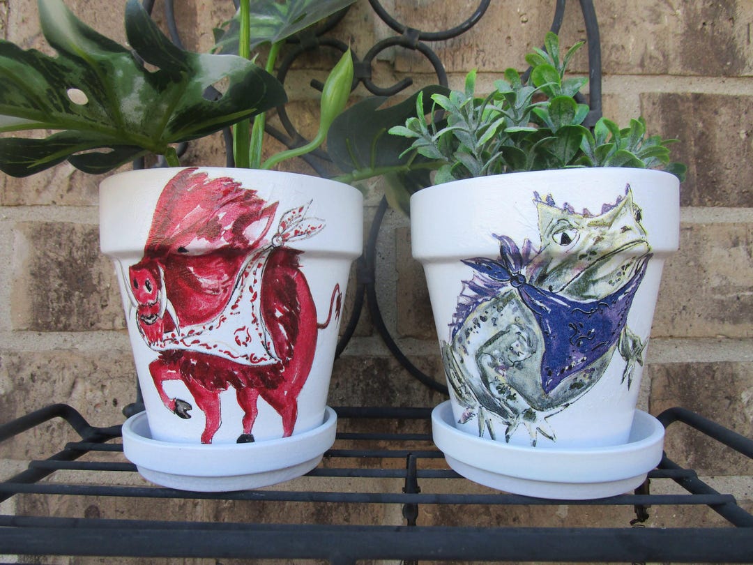 Longhorn-hornfrogs-razor Backs-bulldogs Mascot Planter, Terracotta ...