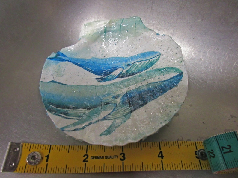 Whales in a Seashell, Decoupage Seashell, Ring Dish, Trinket, Maritime ...