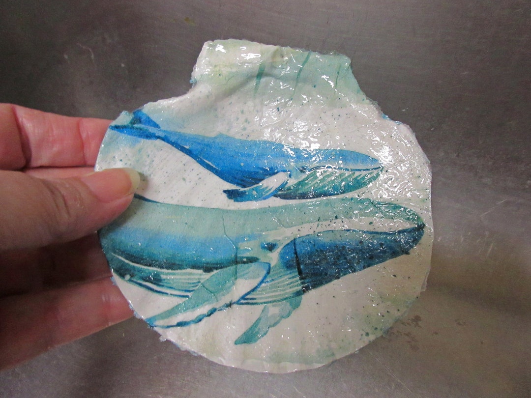 Whales in a Seashell, Decoupage Seashell, Ring Dish, Trinket, Maritime ...