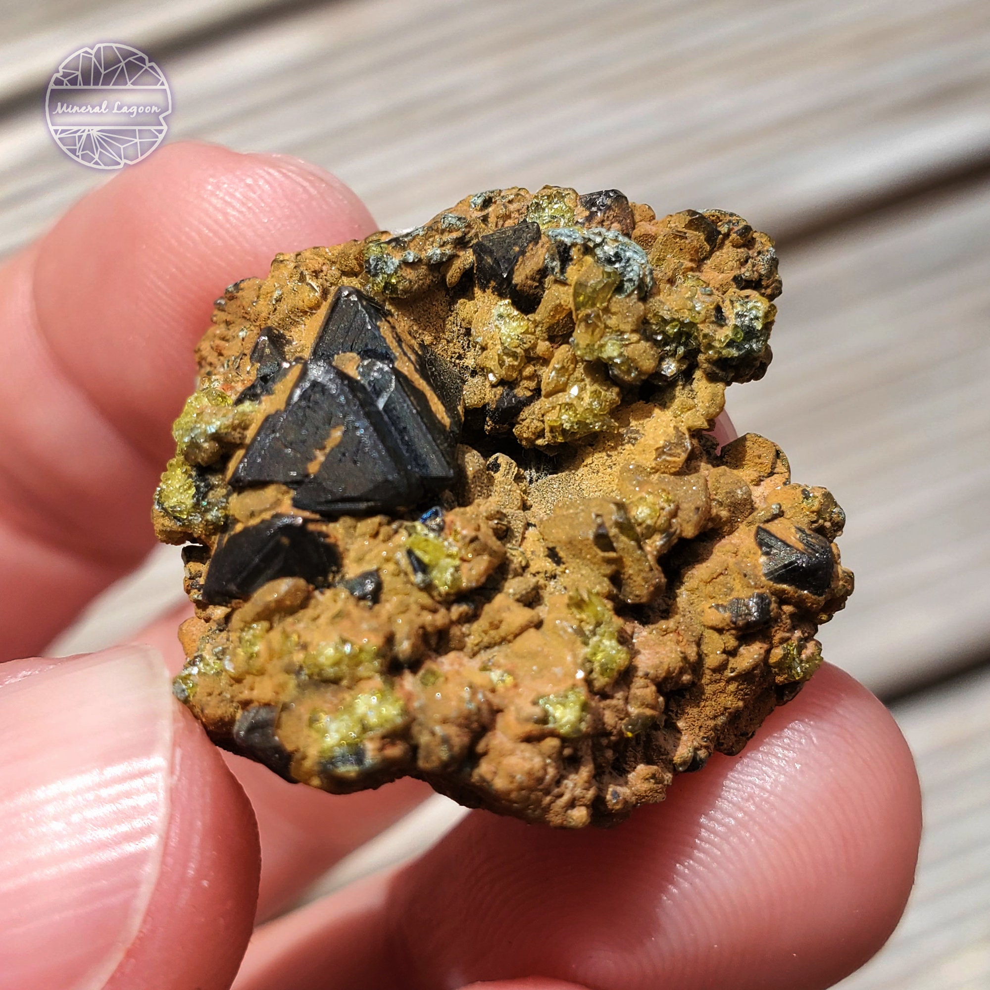 Raw Epidote and Magnetite on Matrix Cluster Rough Gem Collection ...