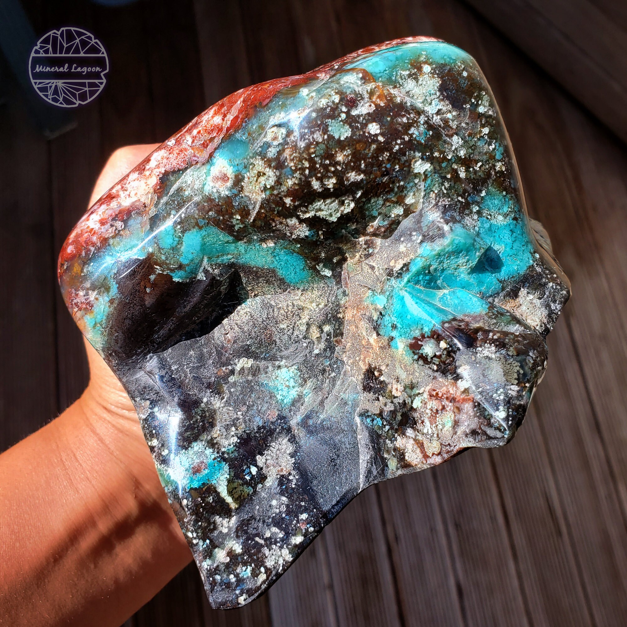 Rare Blue Opalized Petrified Wood Free Form Mineral Specimen Indonesia ...