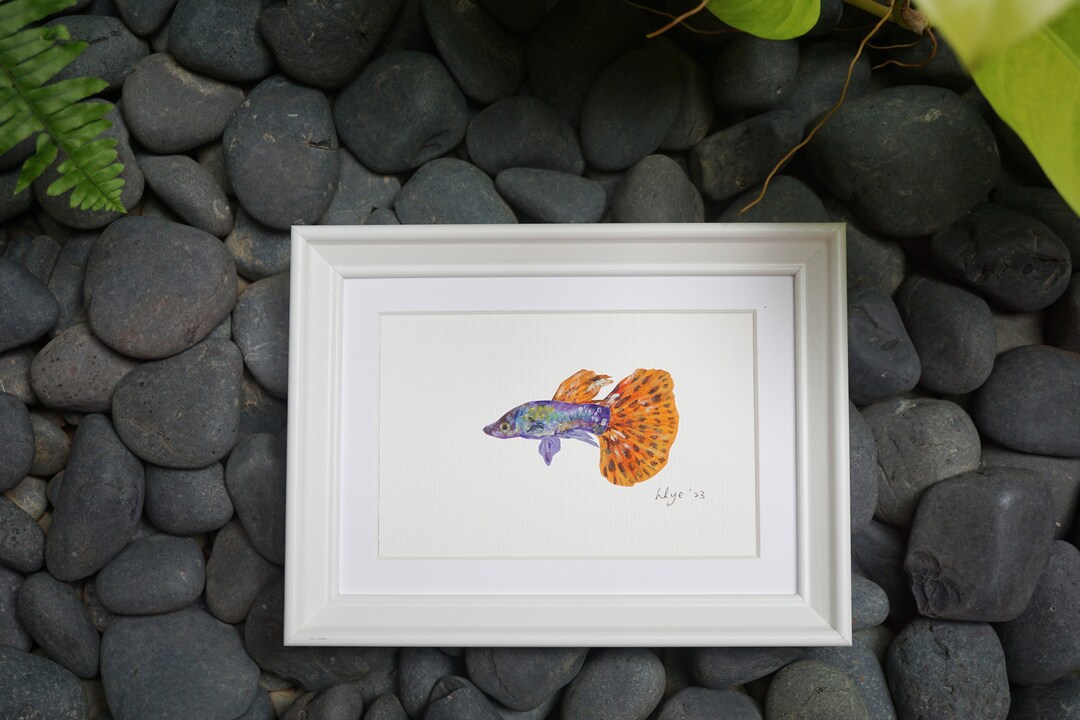 Bright Color Fish Décor Paper-cut Guppy Fish Unique - Etsy Singapore