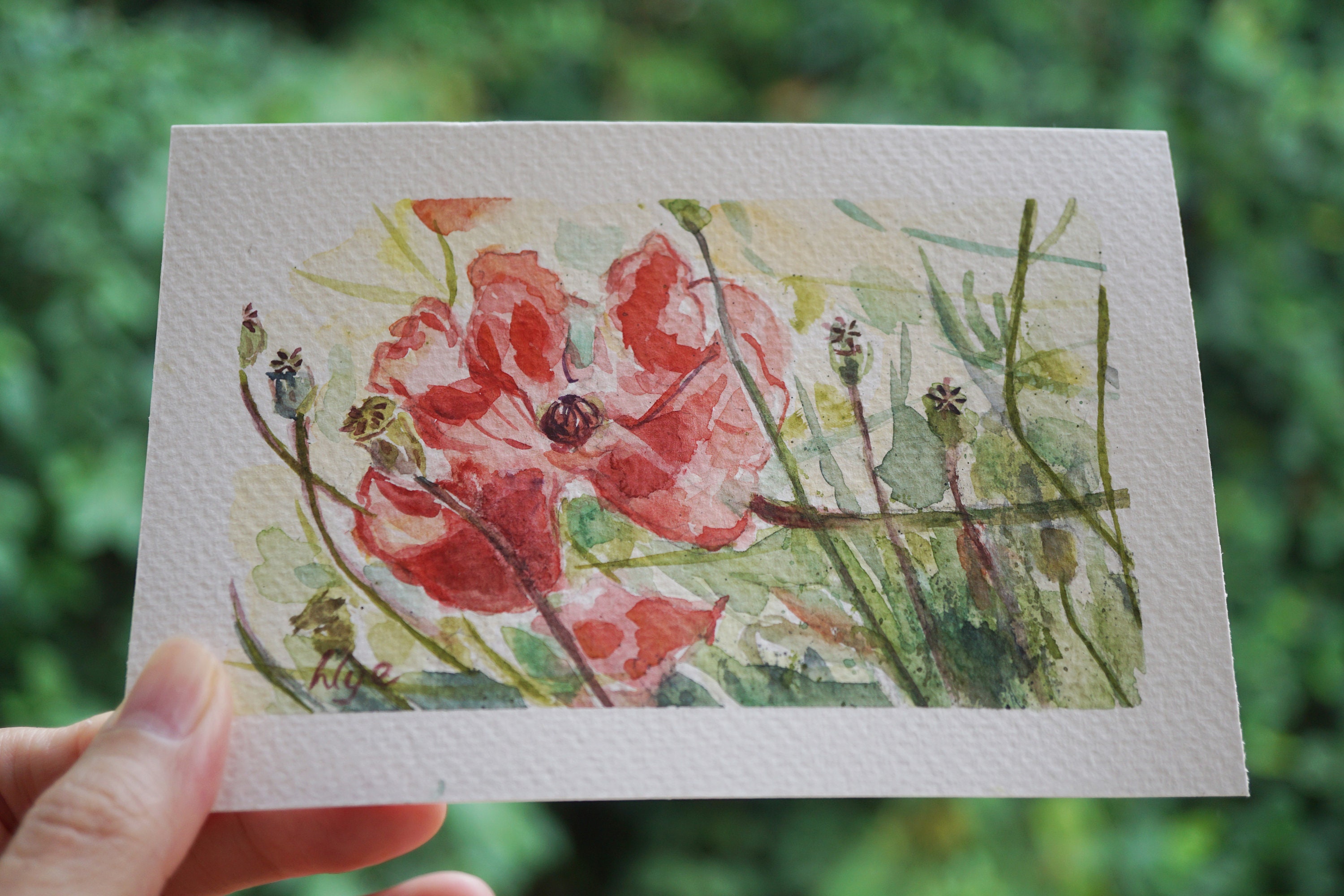 Poppy Flower Painting, French Country Art, Gift for Mom, Summer Wall ...