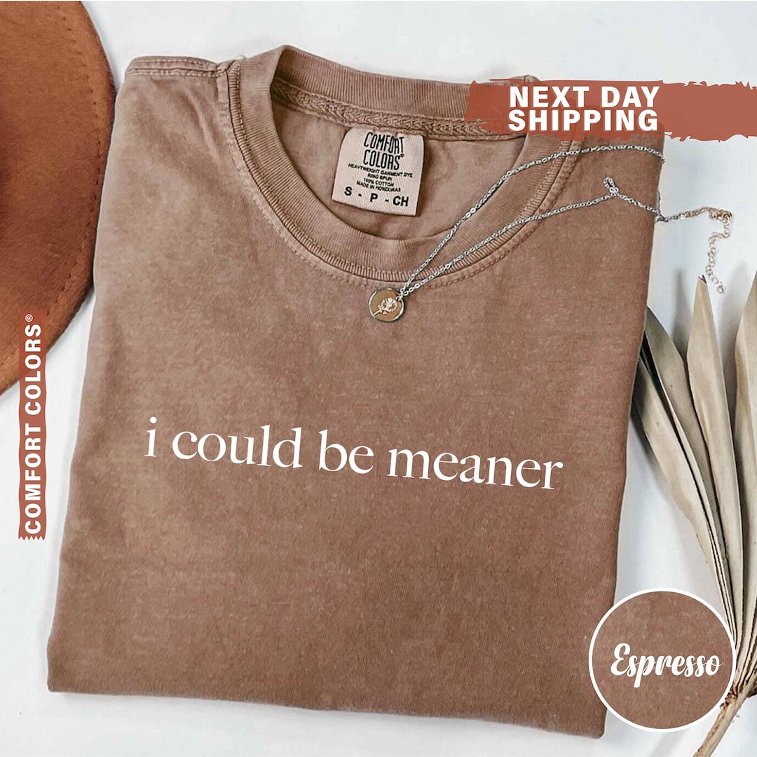 Comfort Colors® I Could Be Meaner Shirt, Funny Humor Shirt, Sarcastic ...