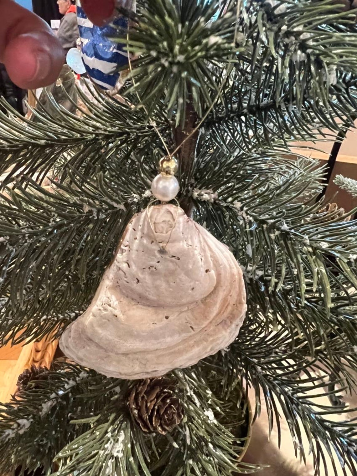 Manatee Oyster Shell Ornament. Manatee Shell Christmas Ornament ...