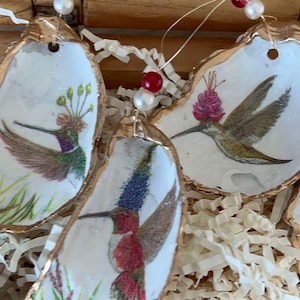 Hummingbird Ornament. Hummingbird Christmas Ornament. Oyster Shell ...