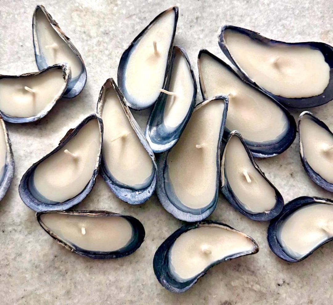 Mussel Shell Wedding Favor Tea Light Candle. Real New England Mussel ...