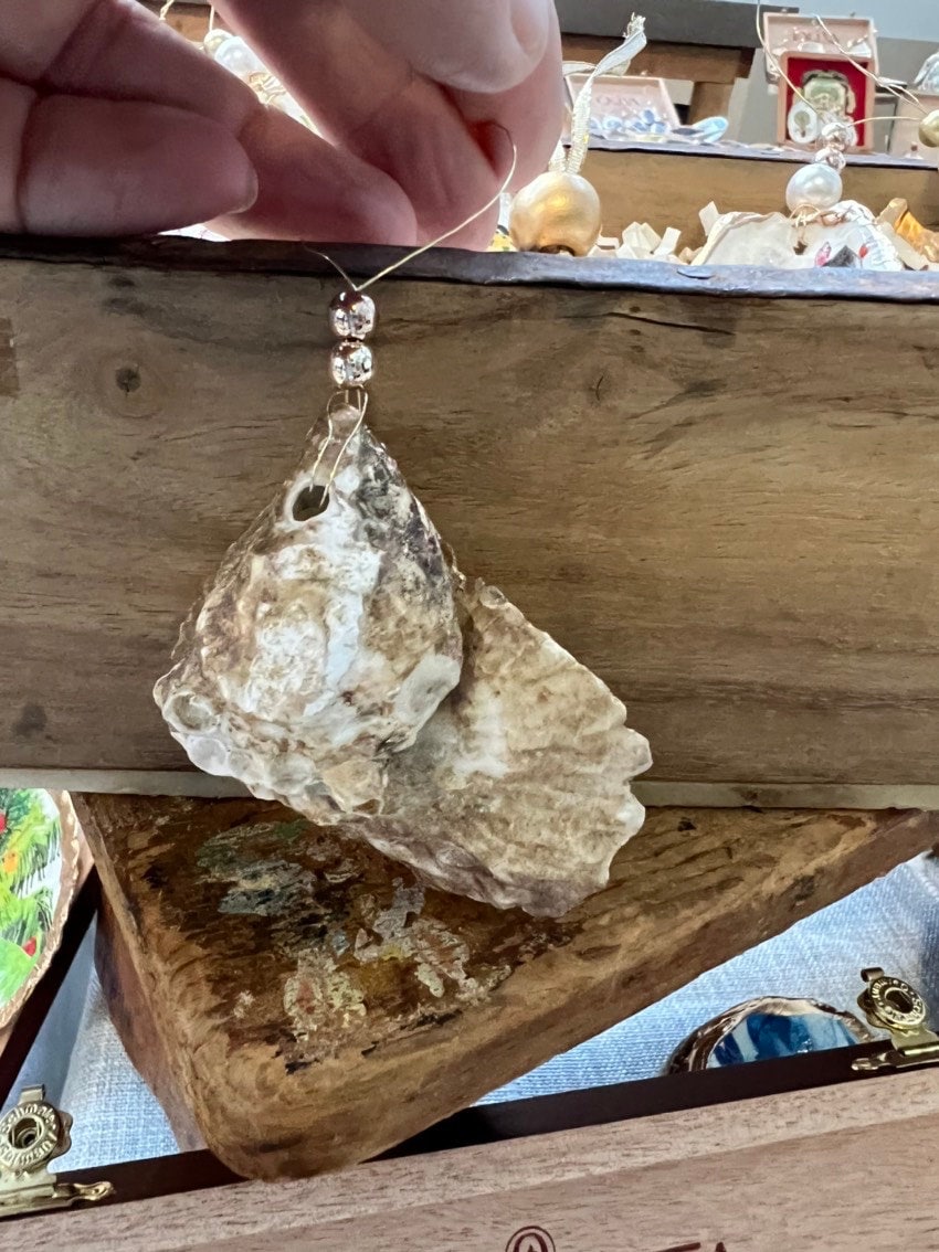 Sea Turtle Shell Ornament. Turtle Christmas Ornament. Oyster - Etsy