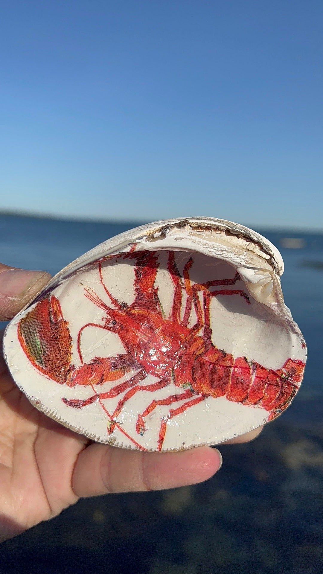 Maine College Graduation Gift Idea Shell Jewelry Tray. College Grad ...