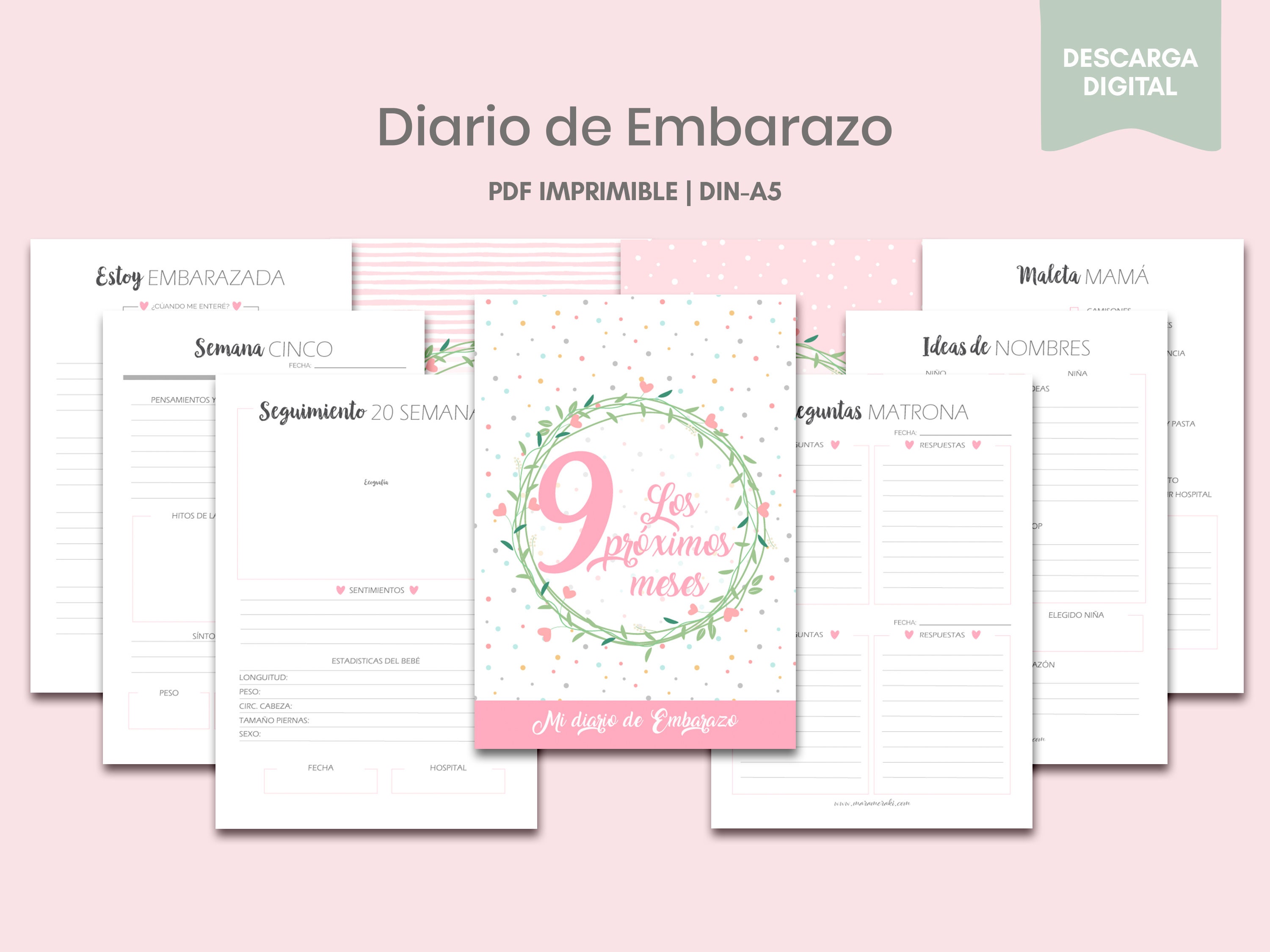 Pregnancy Diary Printable Pregnancy Diary Pregnancy Agenda Pregnancy