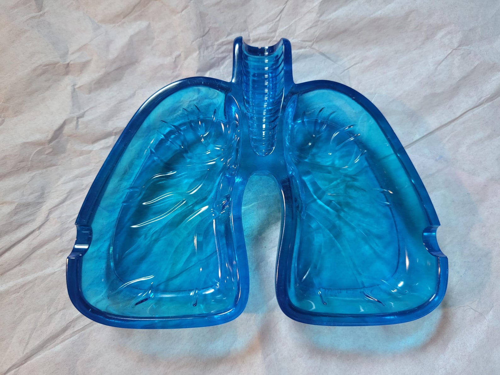 Bright Sapphire Blue Lungs Ashtray | Funny Ashtrays | Body Parts Decor | Rolling Tray | Goth ...