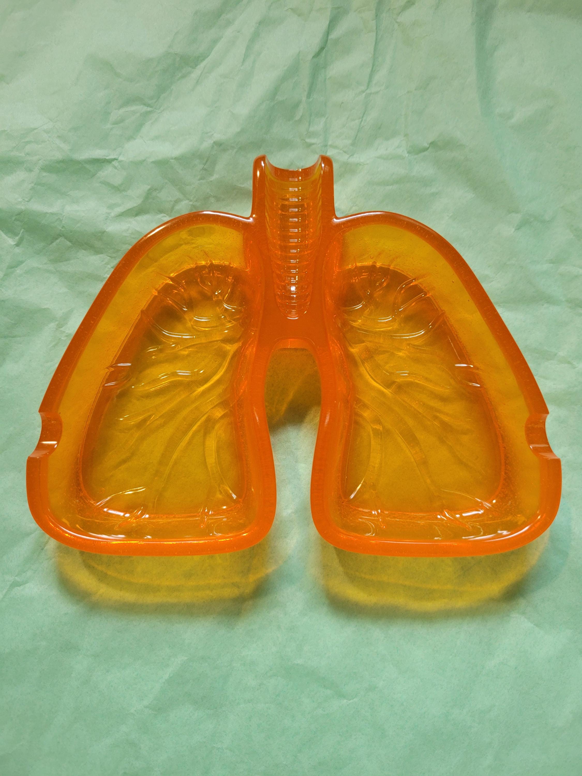 Bright Orange Lungs Ashtray Funny Ashtrays Body Parts Decor Rolling ...