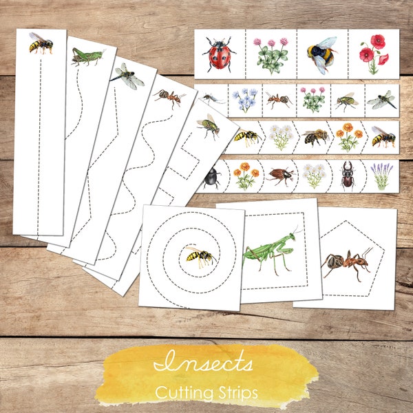 Insect Matching Activity 30 Insect Puzzles Symmetry Kids - Etsy Canada
