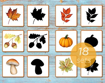 Animal Shadow Matching Printable Cards Preschool Shadow - Etsy