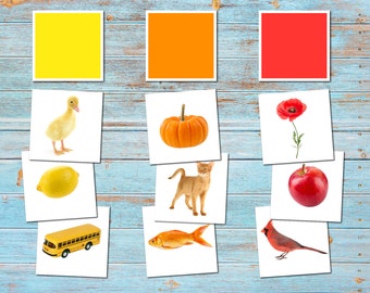 Montessori Color - Etsy