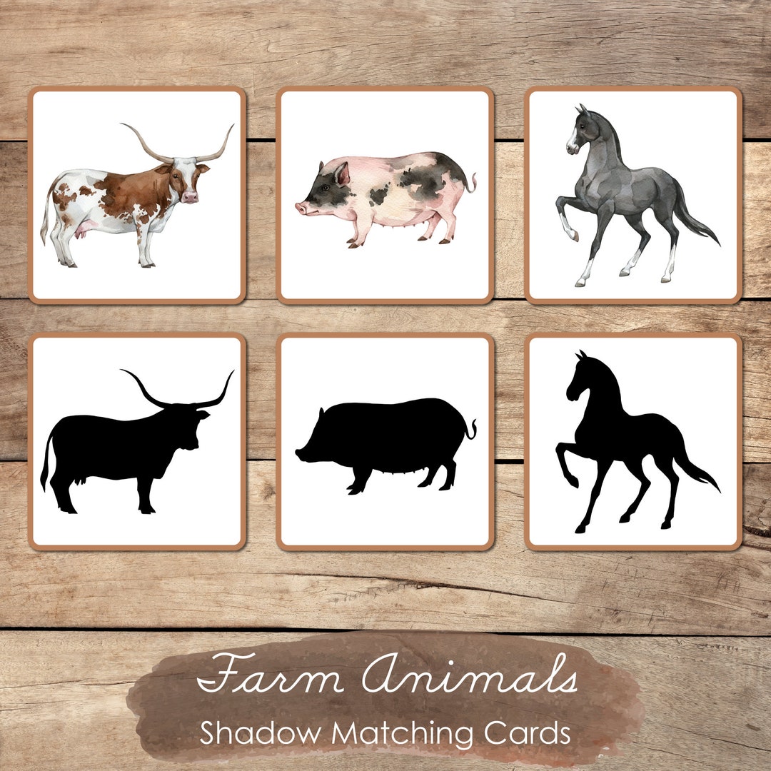 Farm Animals Shadow Matching Cards Silhouette Matching - Etsy